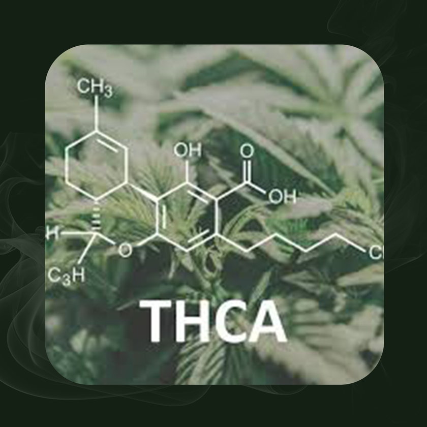What is THCA? Where to Buy THCA in Burlington, Ontario – PEPE Cannabis ...